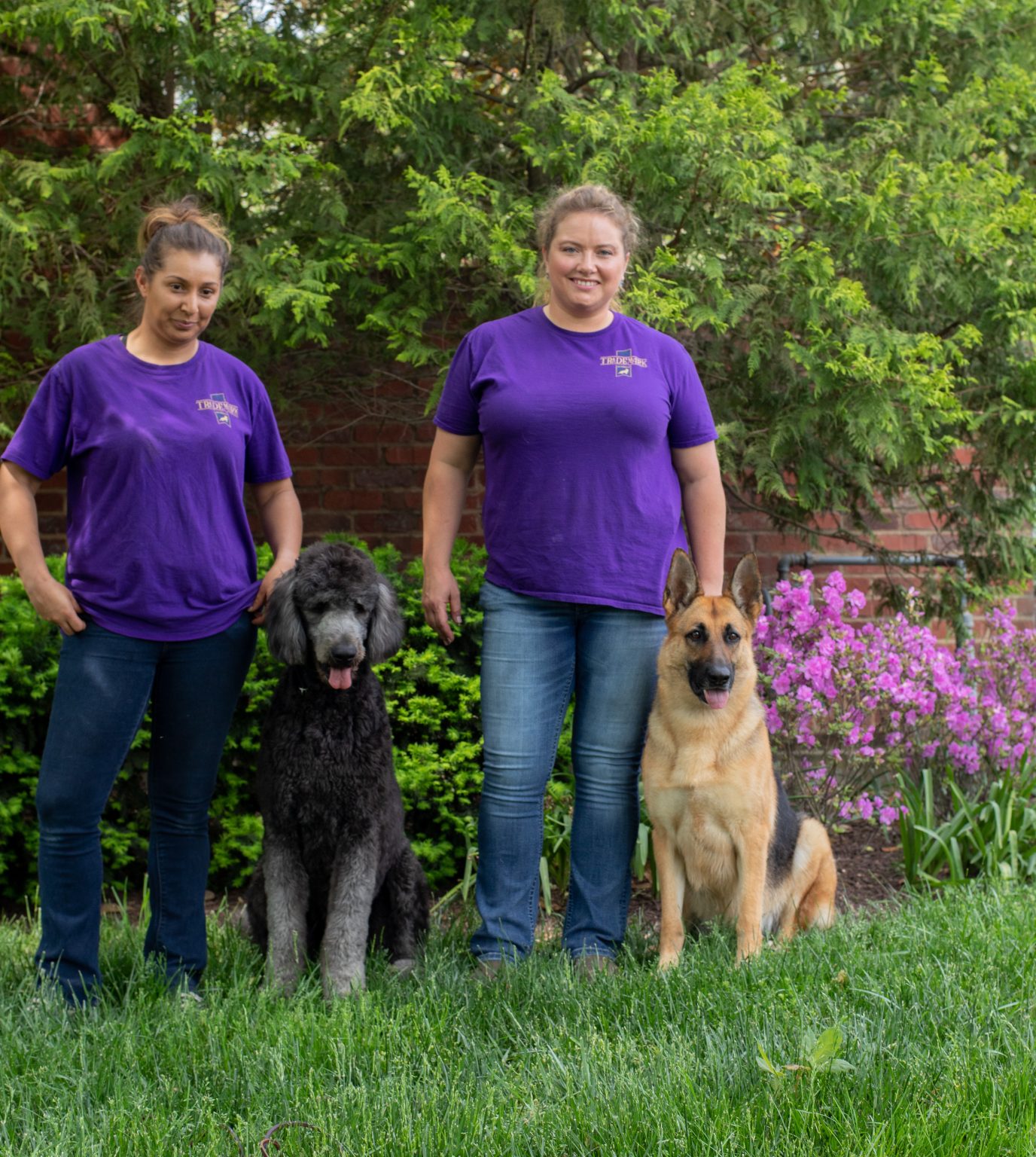 Trademark Kennels – Dog Academy